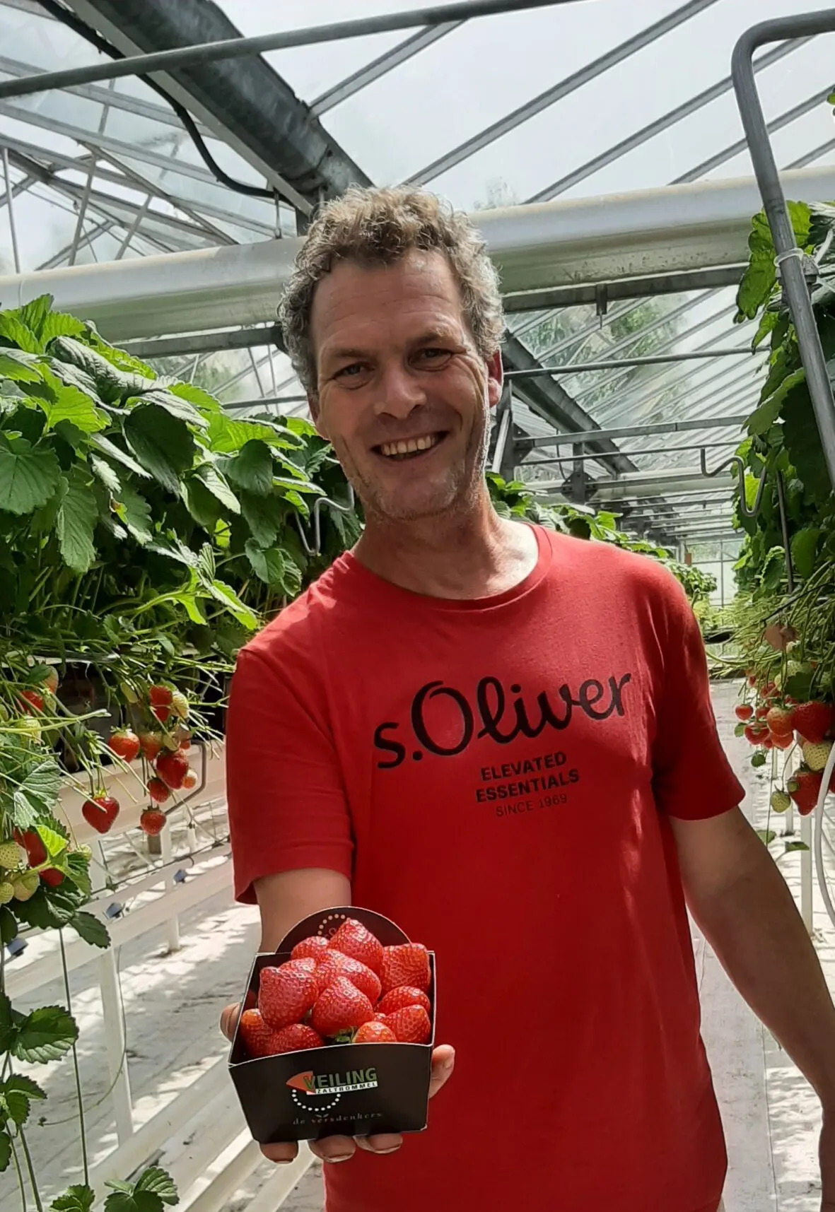 Aardbeienteler de Rijk en AB Midden Nederland